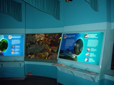 the aquarium at liverpool